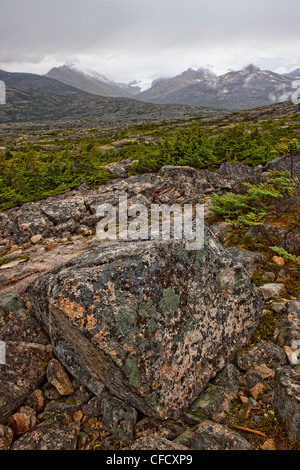 Nature in mountain area around Sjusjoen Stock Photo - Alamy