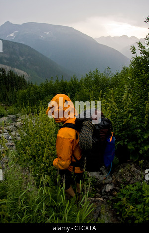A male moutain climber descending after climbing Mt. Sir Donald ...