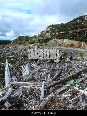 clearcut logging near entrance to Carmanah Walbran Provincial Park ...