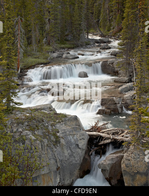 Nigel Falls, Banff National Park, Alberta, Canada Stock Photo - Alamy
