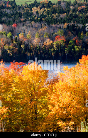 Fall foliage near Woodstock, Saint John River Valley, New Brunswick ...