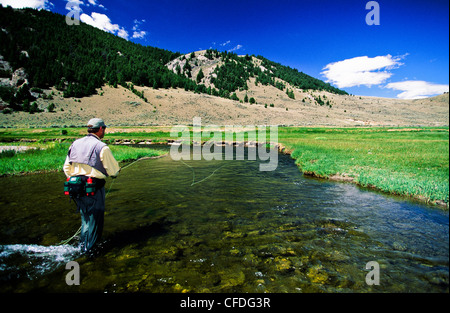 Man fly fishing, Armstrong Spring Creek, Montana, United States of ...