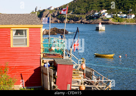 Yellow Newfoundland Dory Stock Photo - Alamy