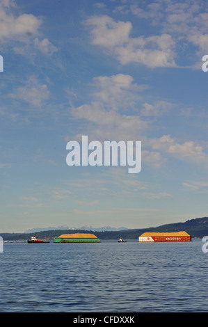 Ship and wood chip barges at pulp mill, Crofton, Vancouver Island ...