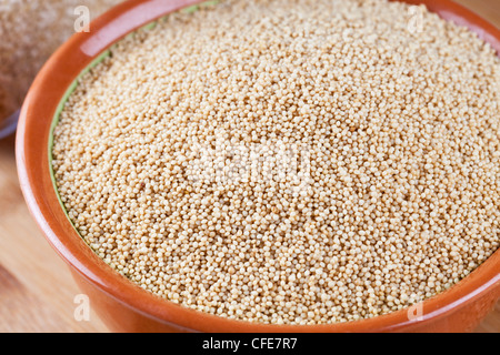 Amaranth grain, staple food of the Aztecs Stock Photo - Alamy