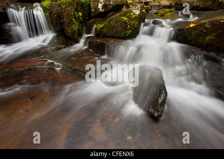 Waterfall at Collins Creek, Ozark Mountains, Heber Springs, Arkansas ...