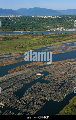 Log booms floating in the Fraser River with wood chip barges in the ...