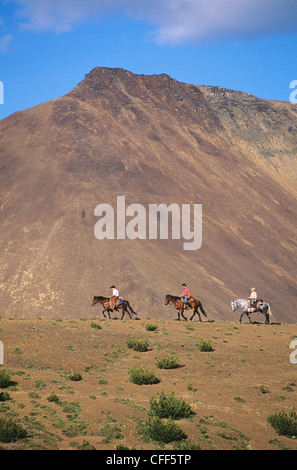 Horses and riders in the South Chilcotin Mountains, near Gold Bridge ...