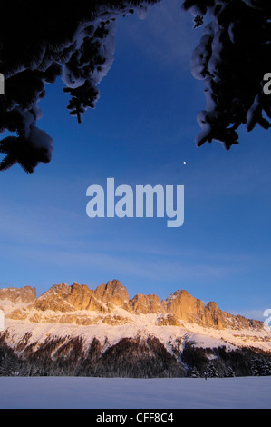 Snow Mantled The Trees and Mountains Stock Photo - Alamy
