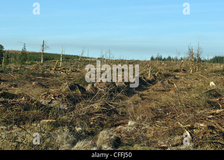 deforestation on the wicklow gap in wicklow ireland Stock Photo - Alamy