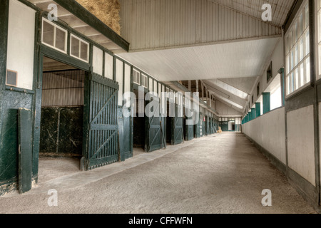 Old empty stables barn at horse farm with wooden beams , sulky cart and ...