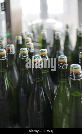Wine making line, bottling and corking line in underground cellar ...