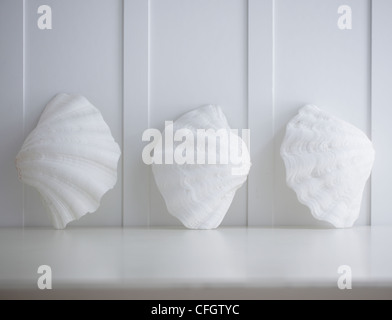 Three clam shells Stock Photo - Alamy