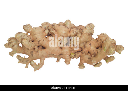 big ginger root, isolated on white background Stock Photo - Alamy