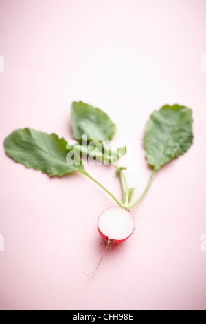 Turnip Cross section Stock Photo - Alamy