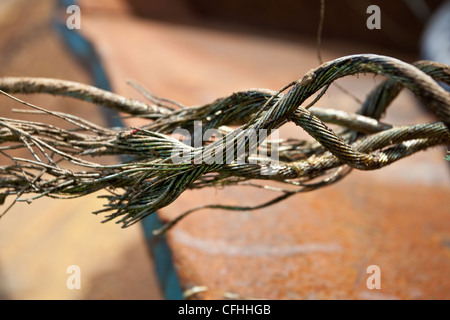 Rusting Steel Cable left in quarry Stock Photo - Alamy