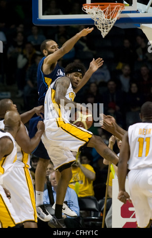 The London Lightning defeated the Saint John Mill Rats in the first ...