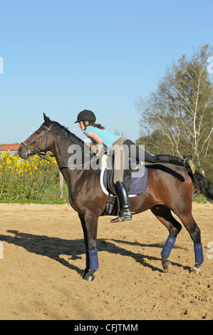 Young rider mounting her horse Stock Photo - Alamy