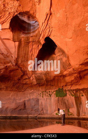 Golden Cathedral in Neon Canyon, Escalante National Park, Utah Stock ...