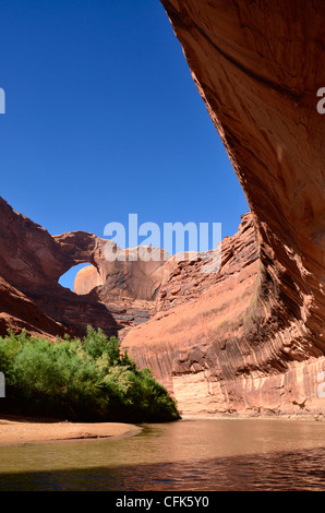 Stevens Arch high on wall above Escalante River, Utah Stock Photo - Alamy