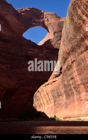 Stevens Arch high on wall above Escalante River, Utah Stock Photo - Alamy