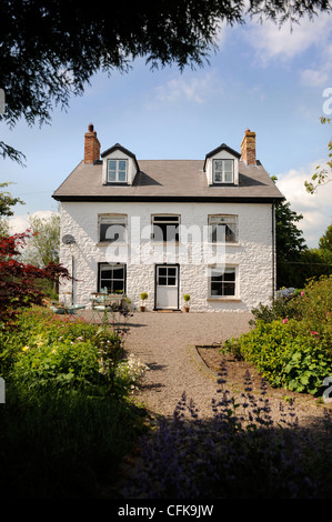 A traditional white painted cottage UK Stock Photo - Alamy