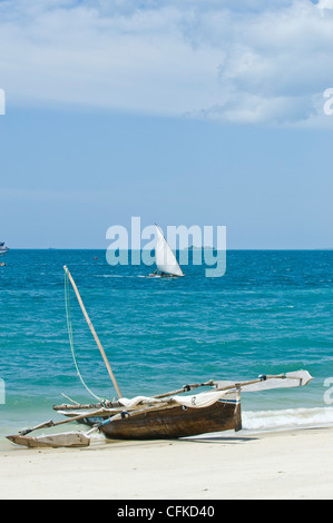 A Ngalawa traditional, double-outrigger canoe in an estuary south of ...