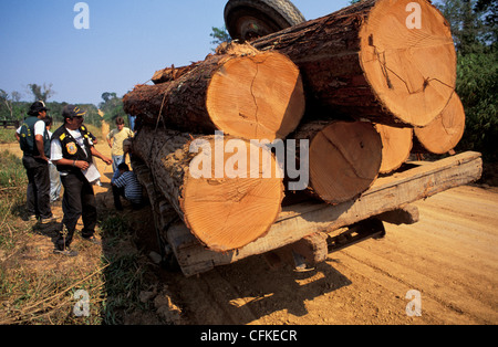 Brazil Amazon Rainforest Logging truck carrying timber Stock Photo - Alamy