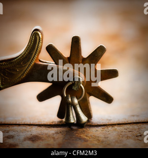 Cowboy Boot and spur Stock Photo - Alamy