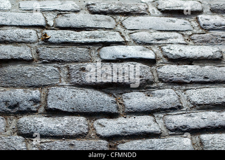 Cobble stone walkway driveway path towards blue ocean horizon landscape ...