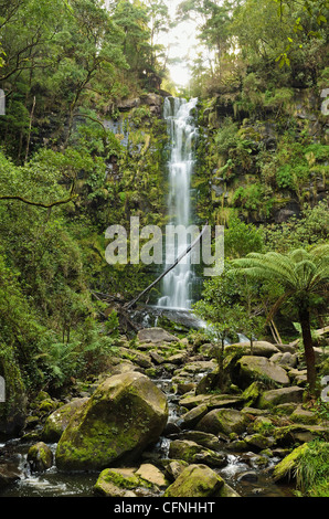 Erskine Falls, Australia, Victoria, Great Otway, national park ...