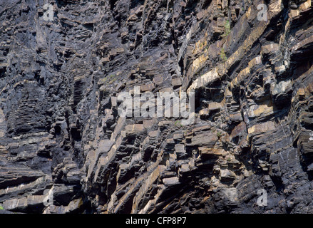 Steeply dipping Carboniferous rock strata at Thorn's Beach near ...