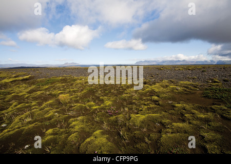 Countryside along Route 1 between Kirkjubaejarklaustur and Kalfafell ...