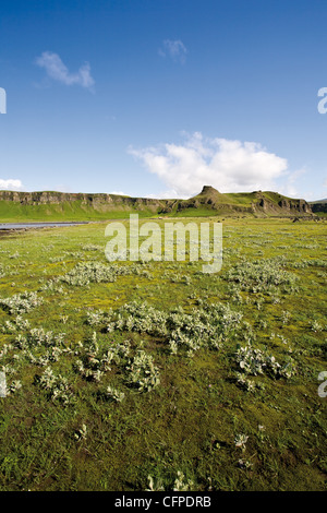Countryside along Route 1 between Kirkjubaejarklaustur and Kalfafell ...