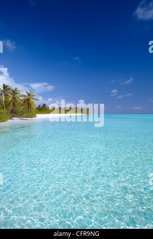 Tropical beach at lagoon in Maldives Stock Photo - Alamy