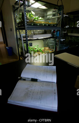 January 2, 2007 , San Diego,- Herpetologist JEFF LEMM, who works at the ...