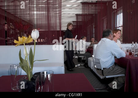 Sheena Stirling and Dale Robertson, a young couple from Zimbabwe ...