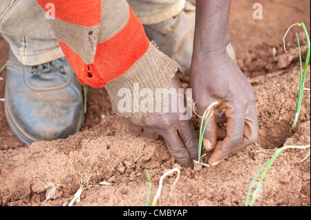 June 13, 2012 - Chimhanda (Village, Zimbabwe - June 13, 2012, Rushinga ...