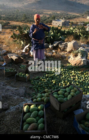 Budrus, West Bank, Palestinian Territory - A Palestinian woman picks ...