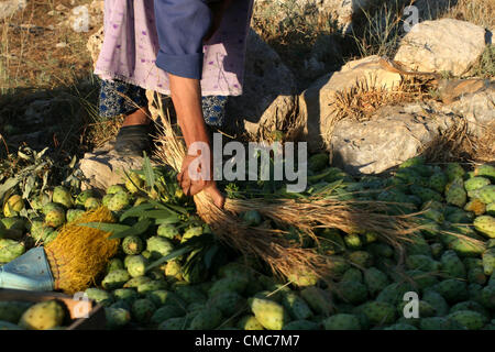 Budrus, West Bank, Palestinian Territory - A Palestinian woman picks ...