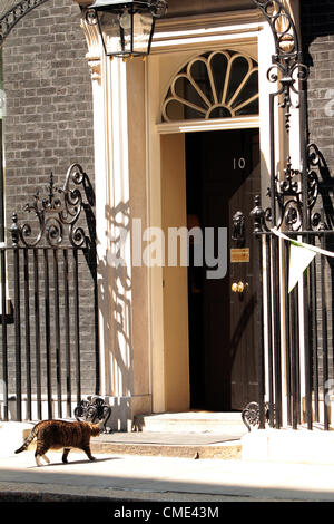 Larry the cat outside the door of Number 10 Downing Street, London ...