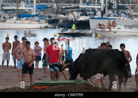 11th Aug 2012. Bullfight at the sand beach in Praia da Vitória city ...