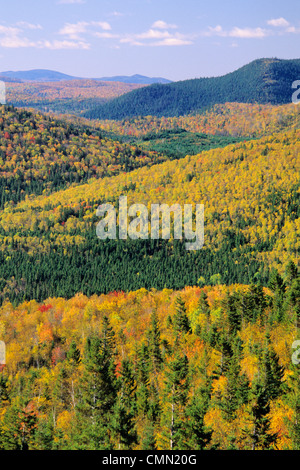 Mount Bailey Overlook, Mount Carleton Provincial Park, New Brunswick ...