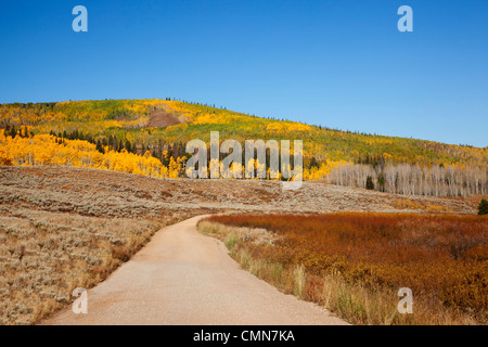Utah; Uintah National Forest, Soapstone Basin Road Stock Photo - Alamy