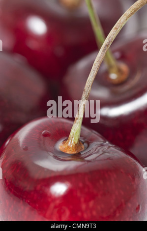 Beautiful red fresh cherry macro photo background Stock Photo - Alamy