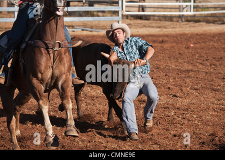 Steer wrestling (also known as bulldogging) competition at Mt Garnet ...