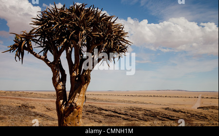 Namibia, Landscape on the route from Aus to Sossusvlei Stock Photo - Alamy