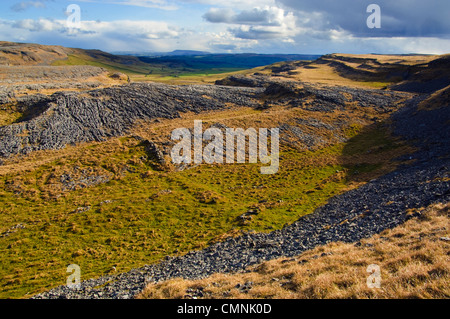 Crummackdale limestone pavement, Yorkshire Dales, UK Stock Photo - Alamy