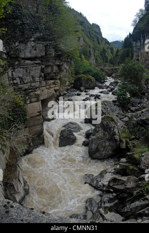 Mountain river in a deep gorge on a spring day, Himalayas, Nepal Stock ...