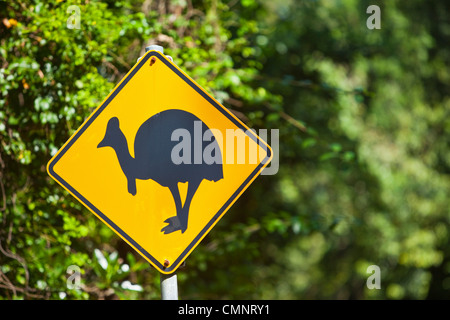 Cassowary crossing sign. Daintree National Park, Daintree, Queensland ...